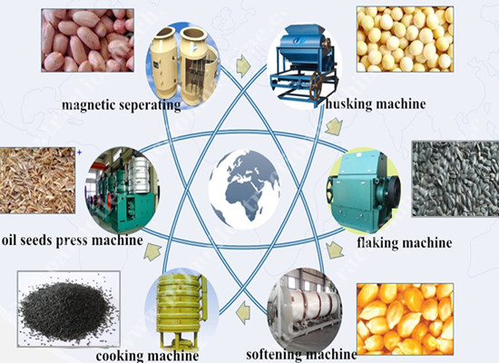 How To Extract Castor Oil From Castor Seeds Palm Oil Extraction Faq