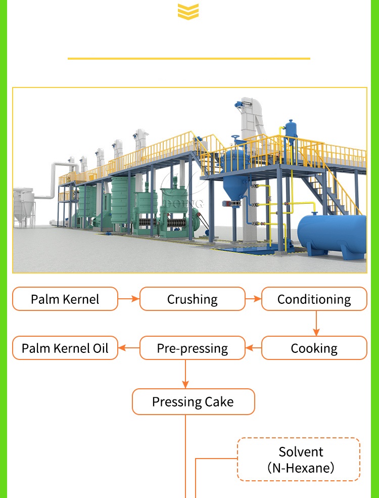 Professional palm kernel oil processing machine manufacturer and ...