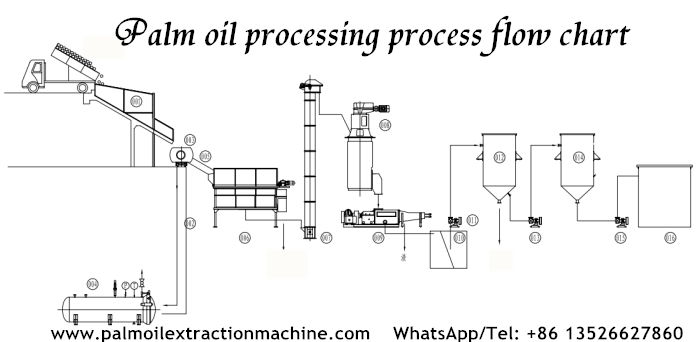 What is the most important step in the production process of palm oil ...
